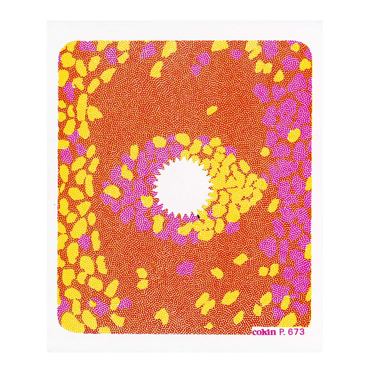 Cokin Yellow & Pink Center Spot (P673) – Cokin Filters